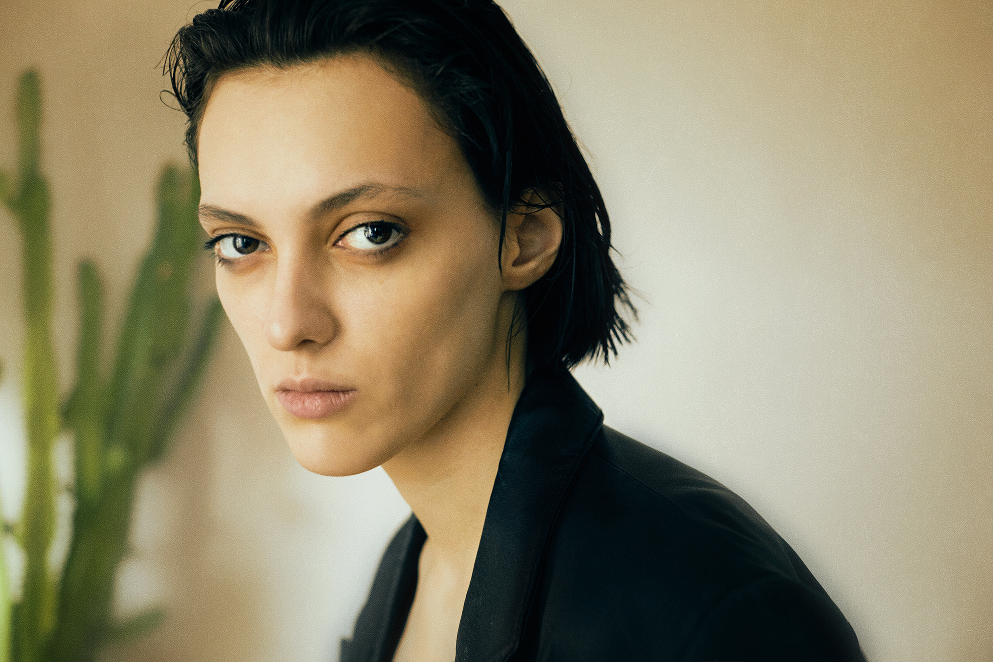 In the house – Alexander Plotnikov